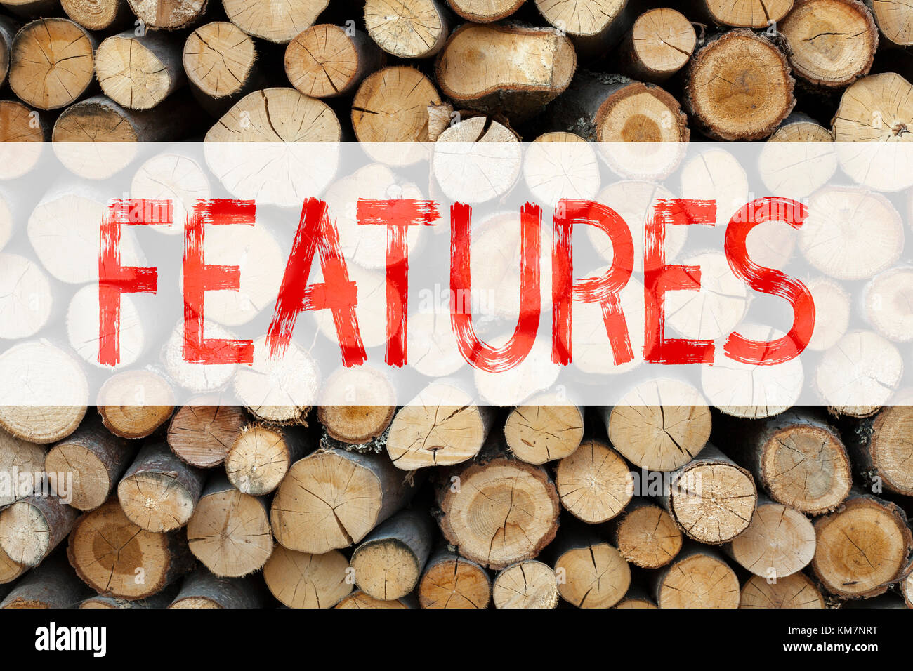 Conceptual announcement text caption inspiration showing Features ...