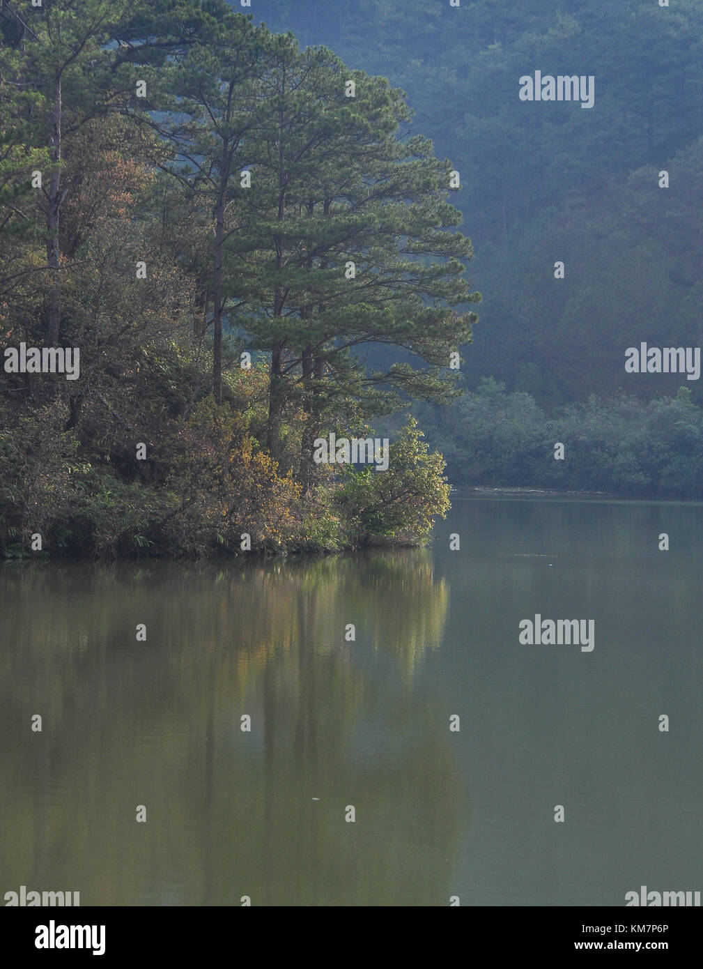 Lake Xuan Huong with pine tree forest in Dalat, Vietnam Stock Photo - Alamy