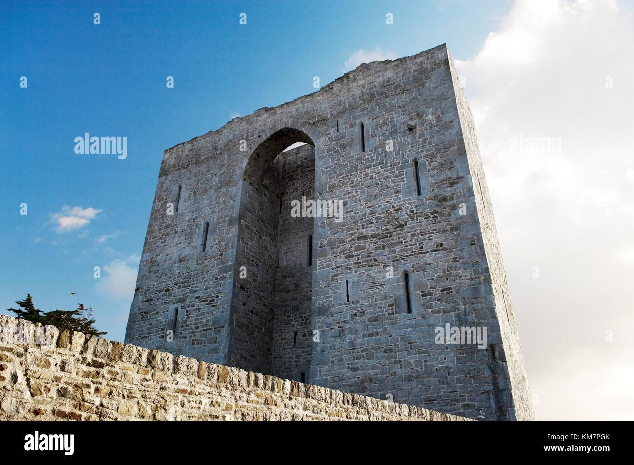Twin corner towers remain of the once imposing Listowel Castle, north ...