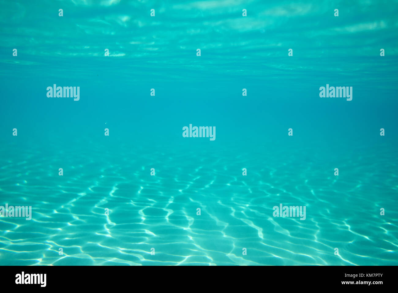 beautiful underwater background Stock Photo - Alamy