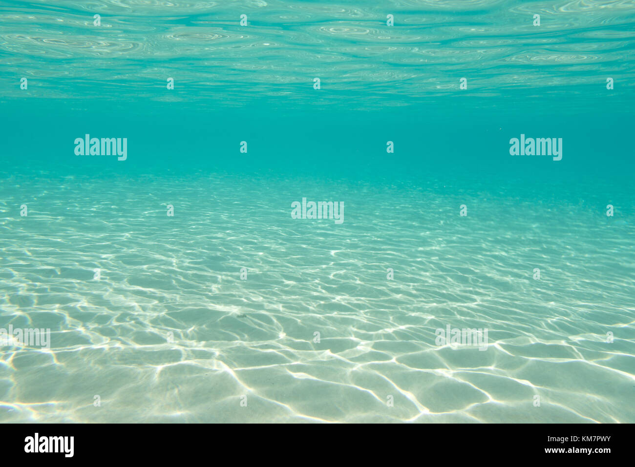 Beautiful underwater background Stock Photo - Alamy