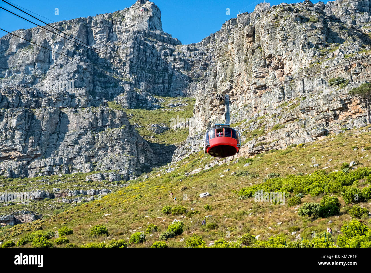 Famous table mountain cable car transports tourist to the summit. There ...