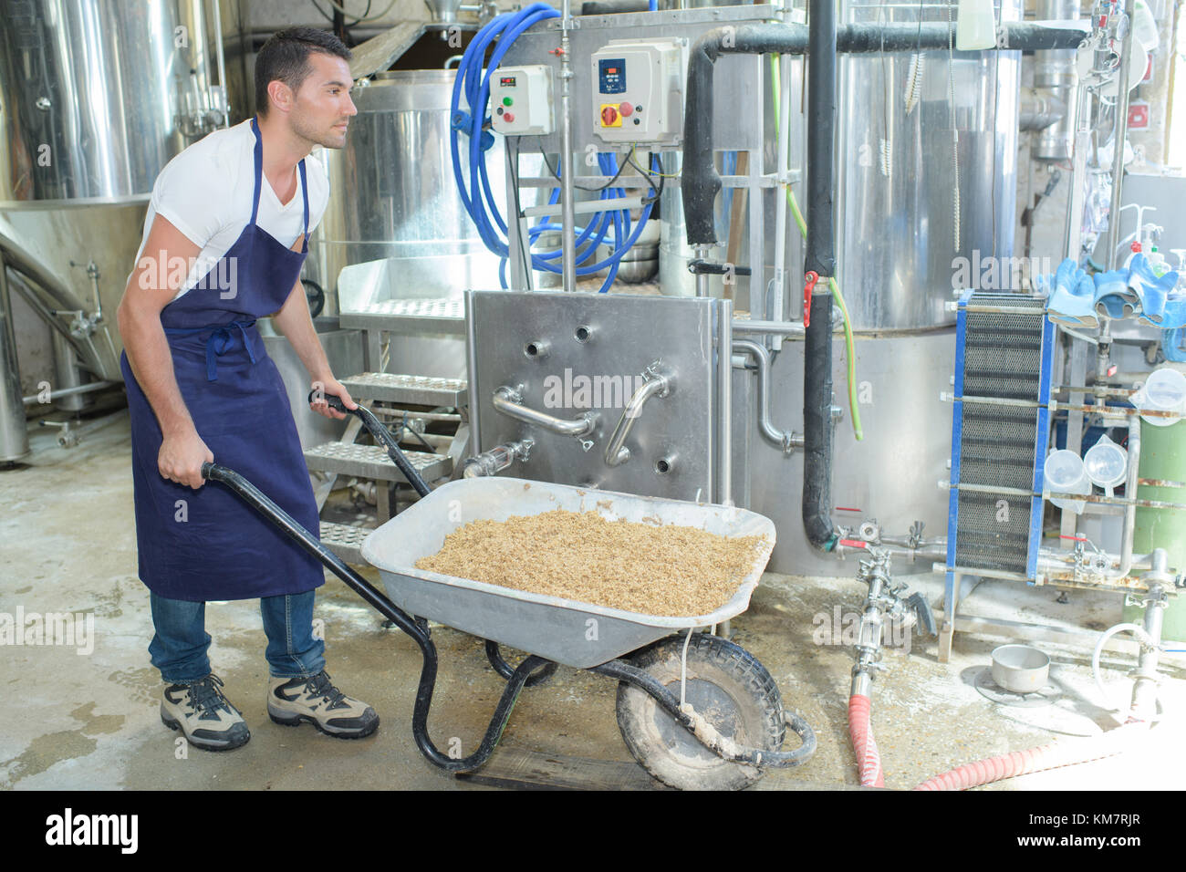 man transporting beer malt in factoru Stock Photo - Alamy