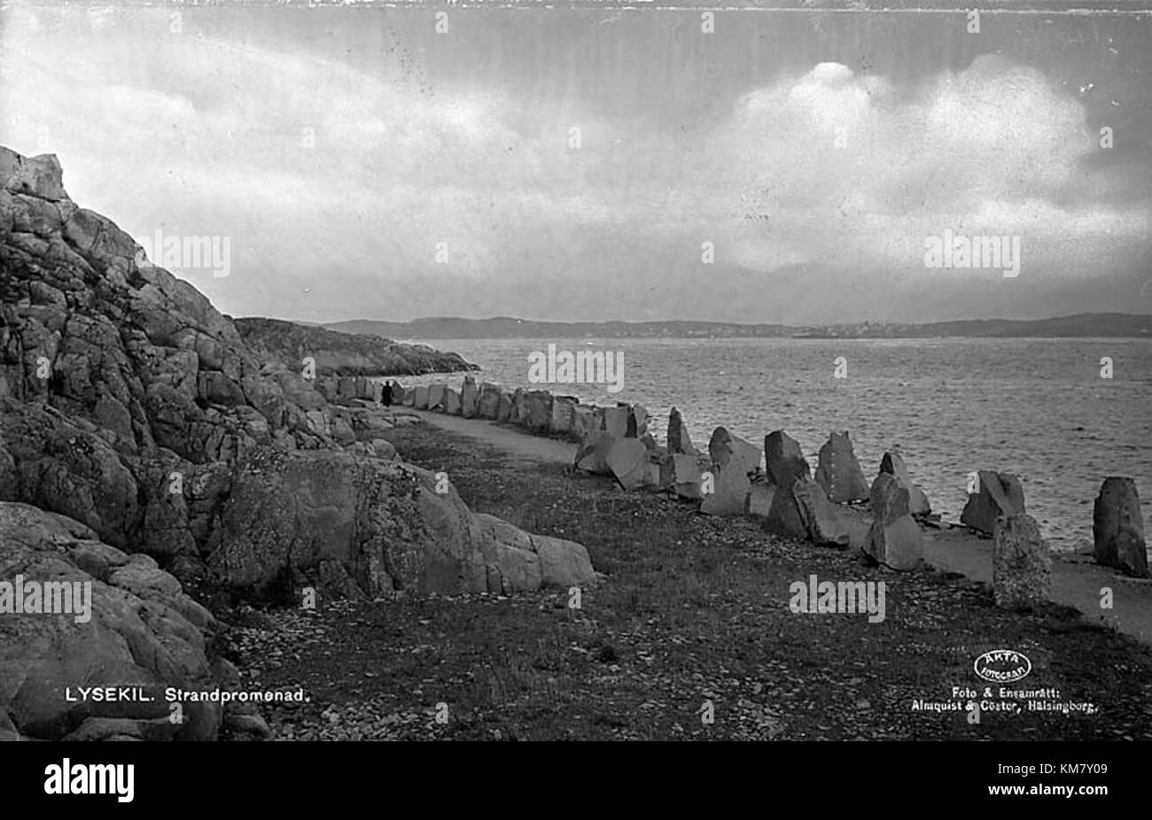 Leptotes marina, also known as the Marine Blue butterfly, was observed ...