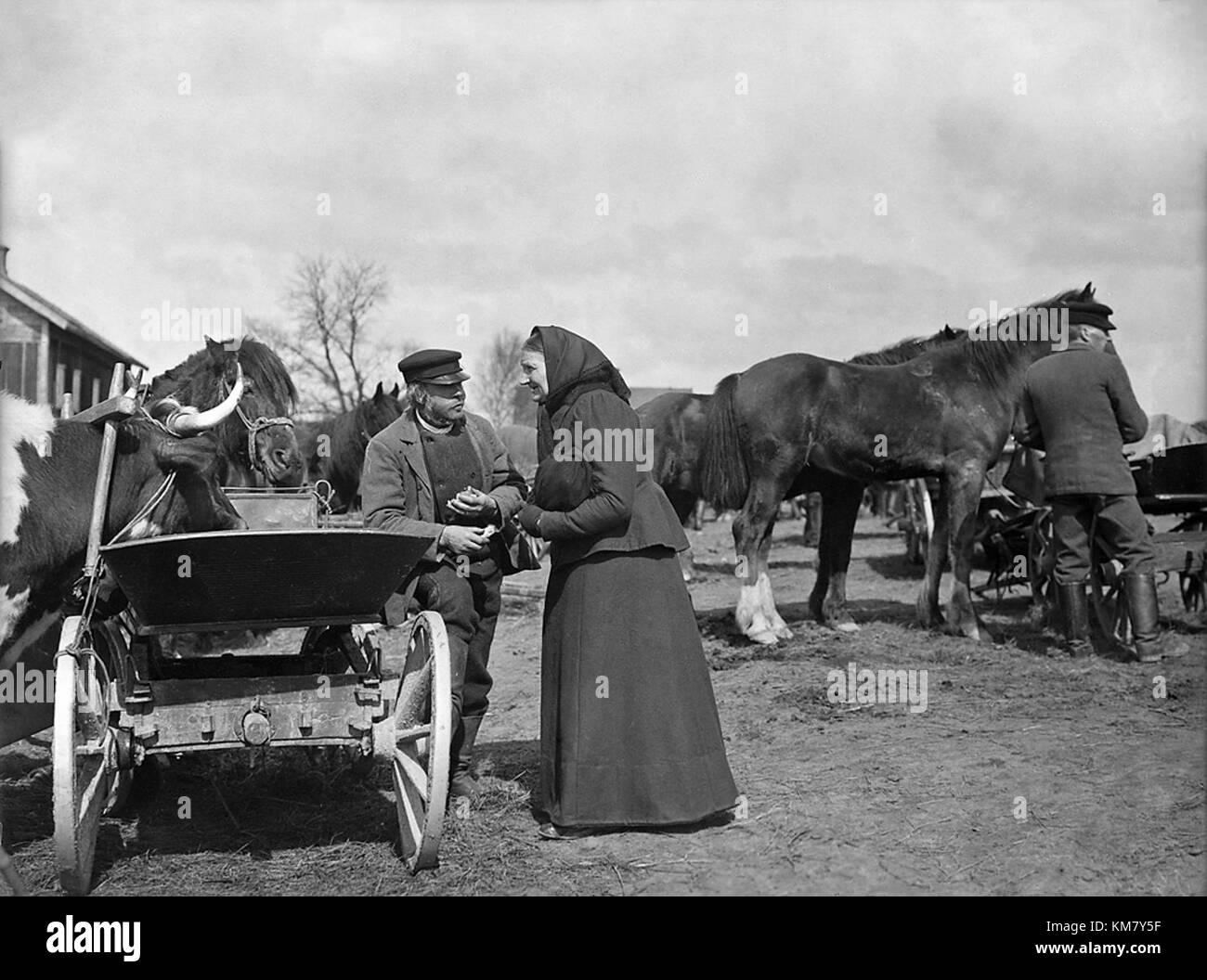 Sweden man fashion Black and White Stock Photos & Images - Alamy