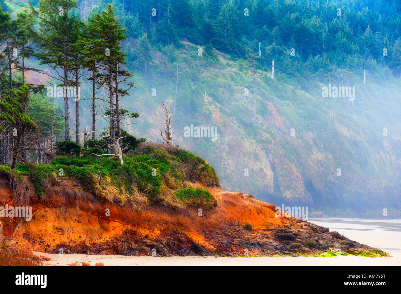 Cape Lookout beach in the Siuslaw National Forest on the Oregon Coast ...