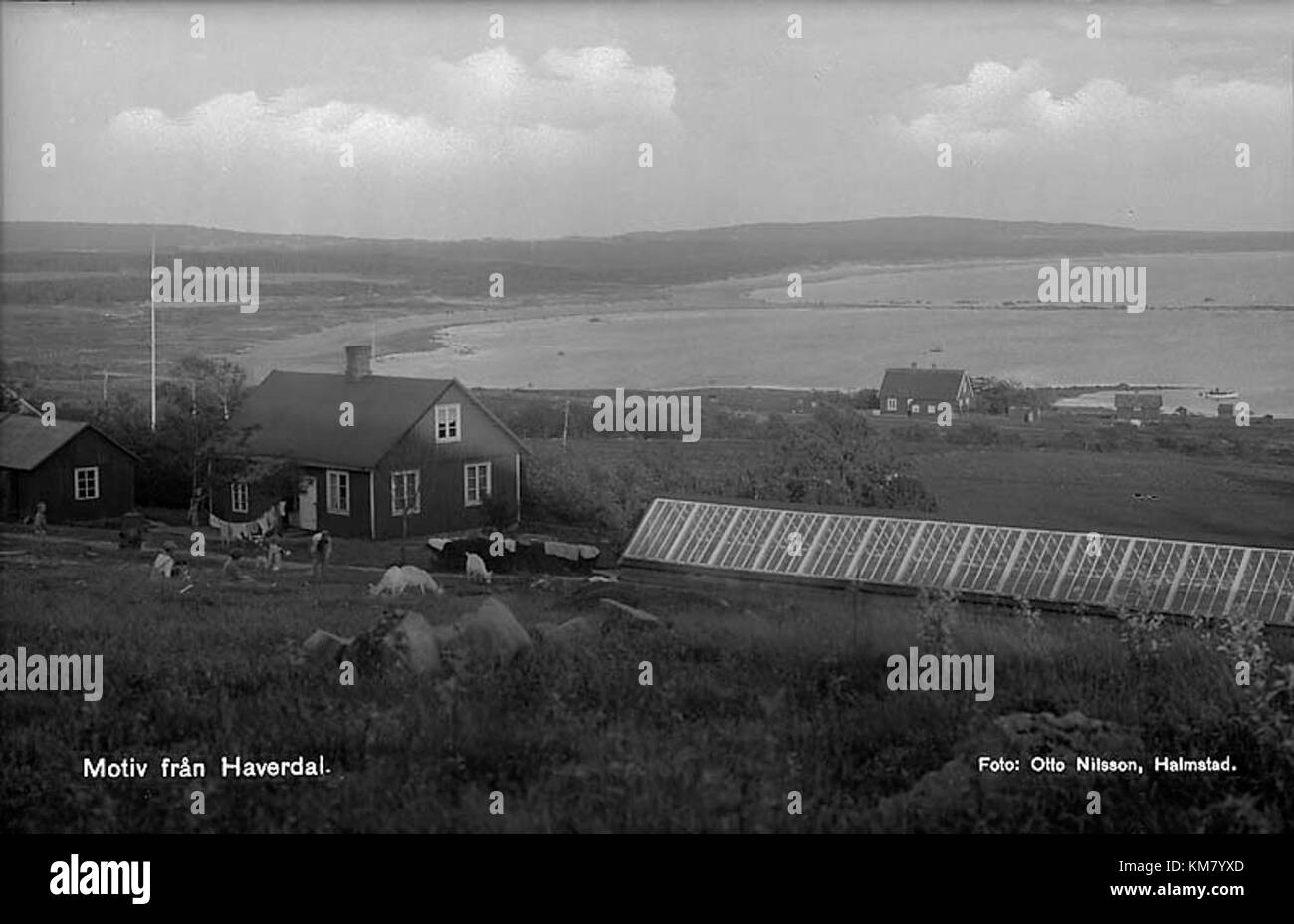 Haverdal High Resolution Stock Photography and Images - Alamy