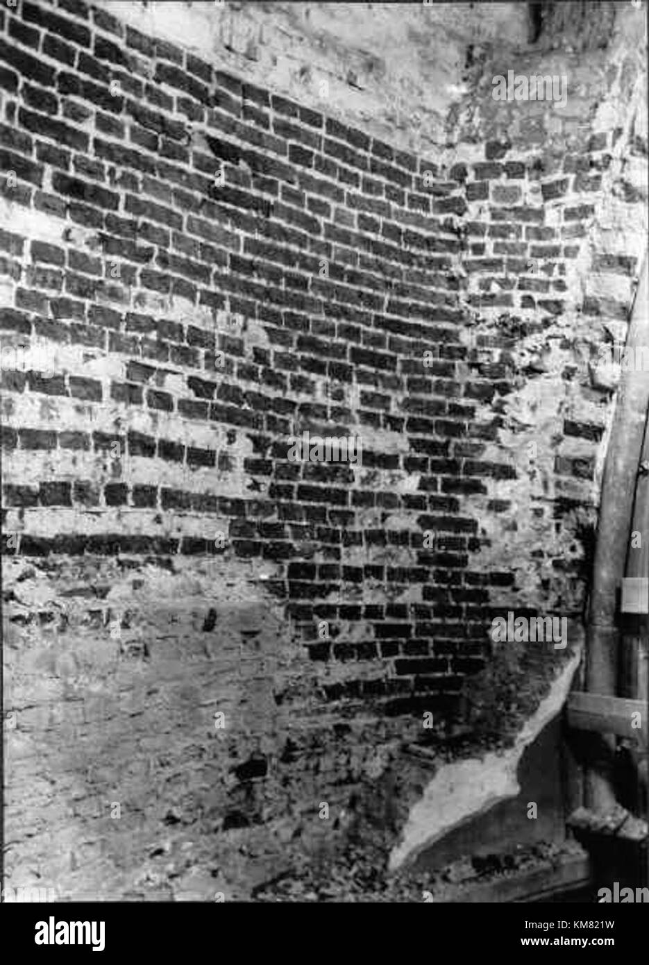 Important examples Black and White Stock Photos & Images - Alamy