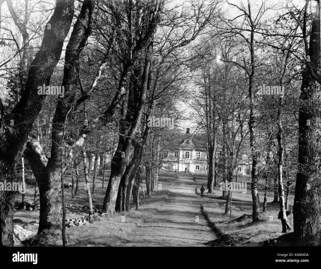 Nydala Abbey Ruins in Sweden are the remnants of a medieval monastic ...