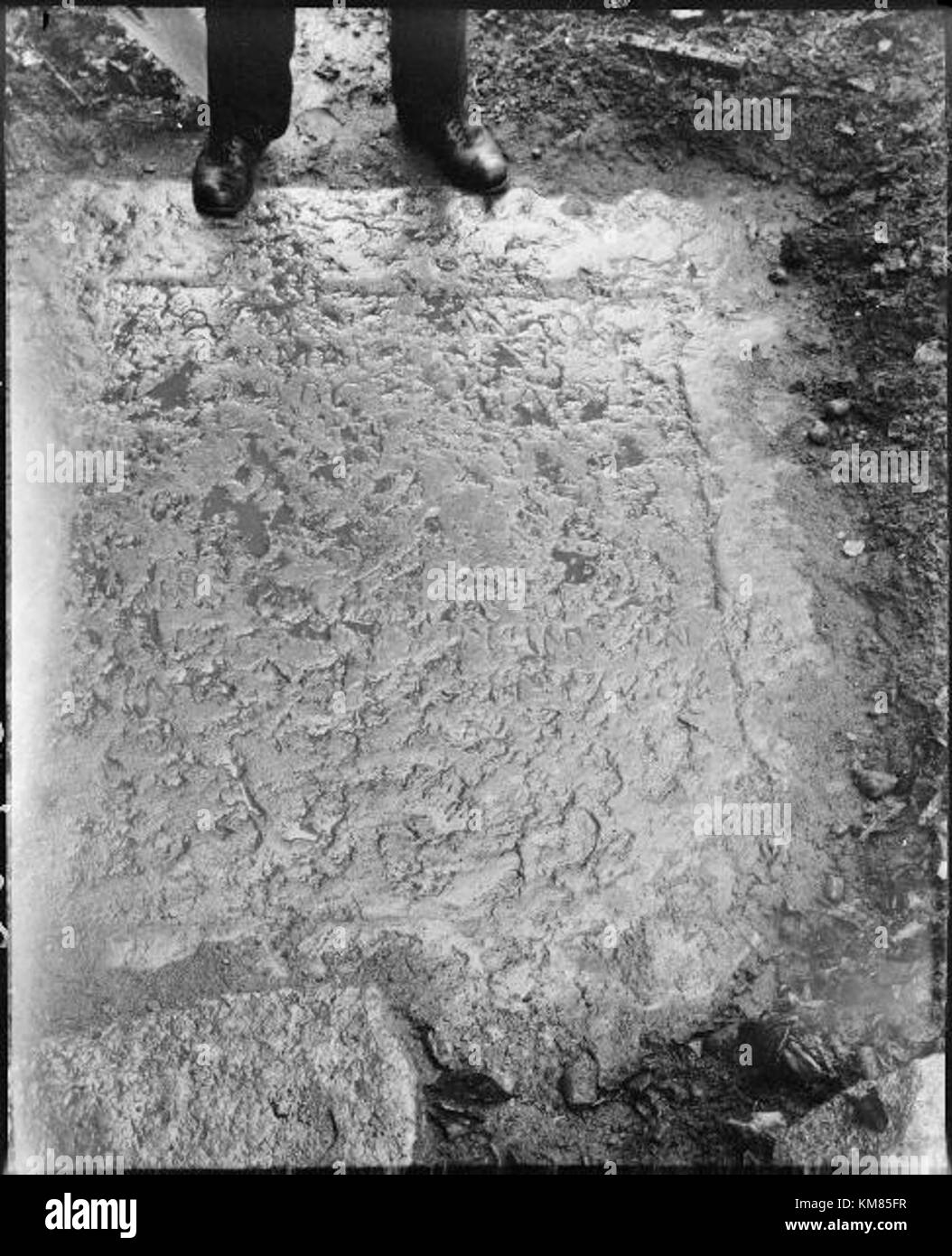 Solna Church, located in Solna, Sweden, is a significant religious site ...