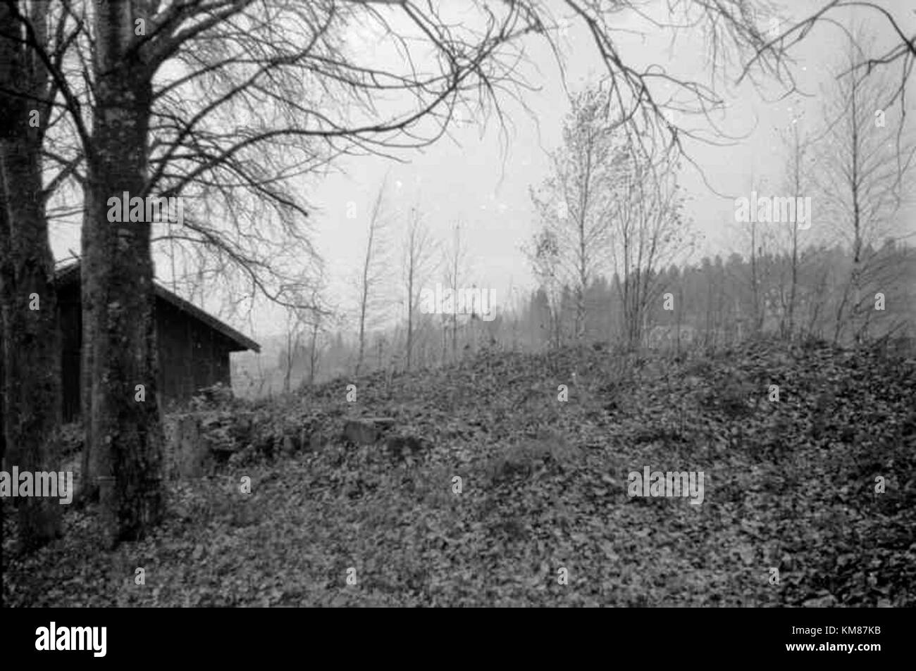The Hassela Church Ruin is a historical site in Sweden, representing ...