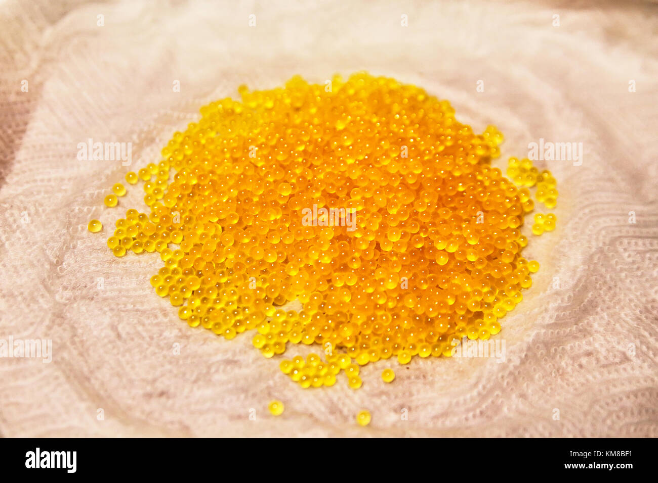 Fresh homemade trout yellow caviar. Producing caviar at home Stock ...
