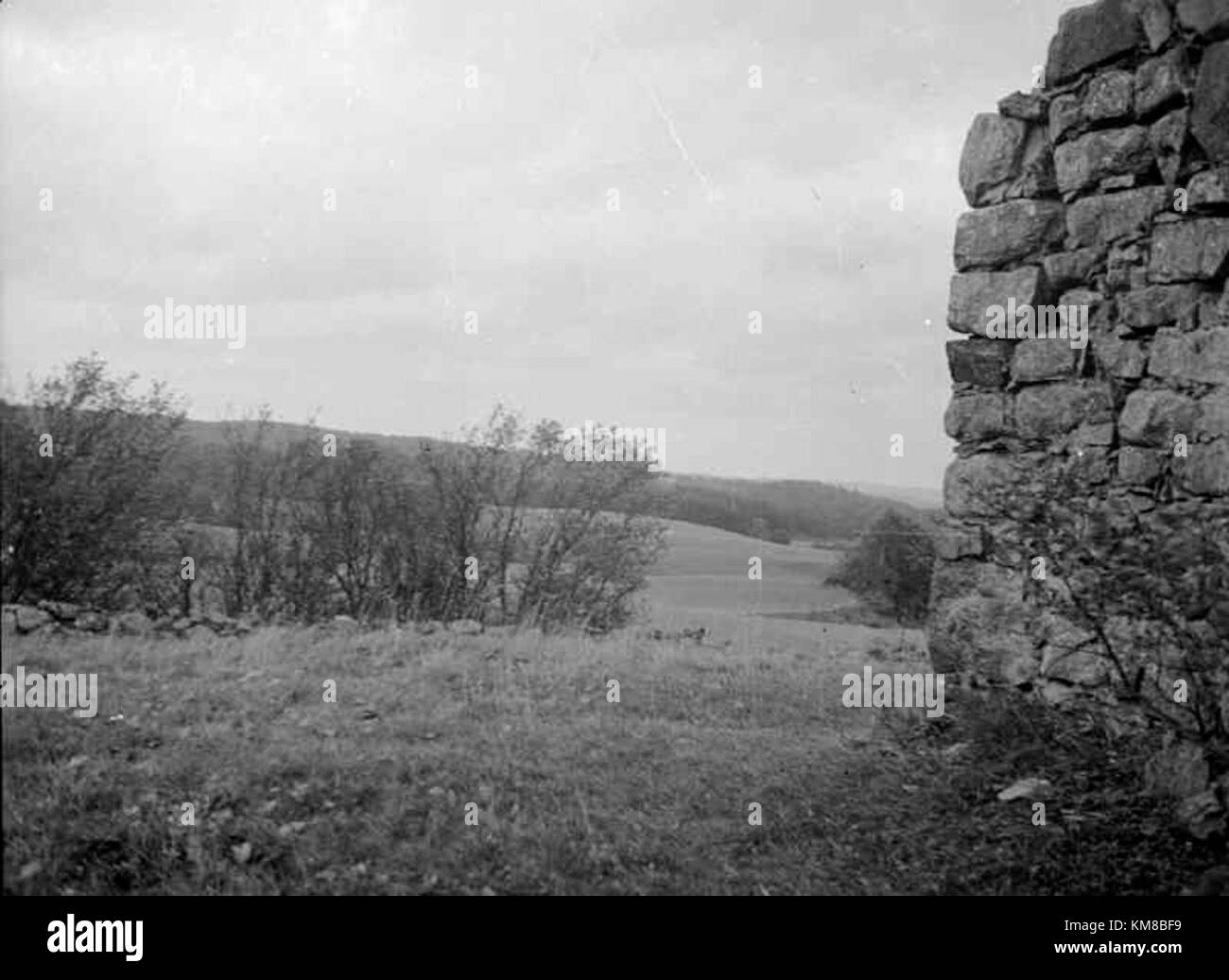 The Rya church ruins are an archaeological site in Sweden, offering ...