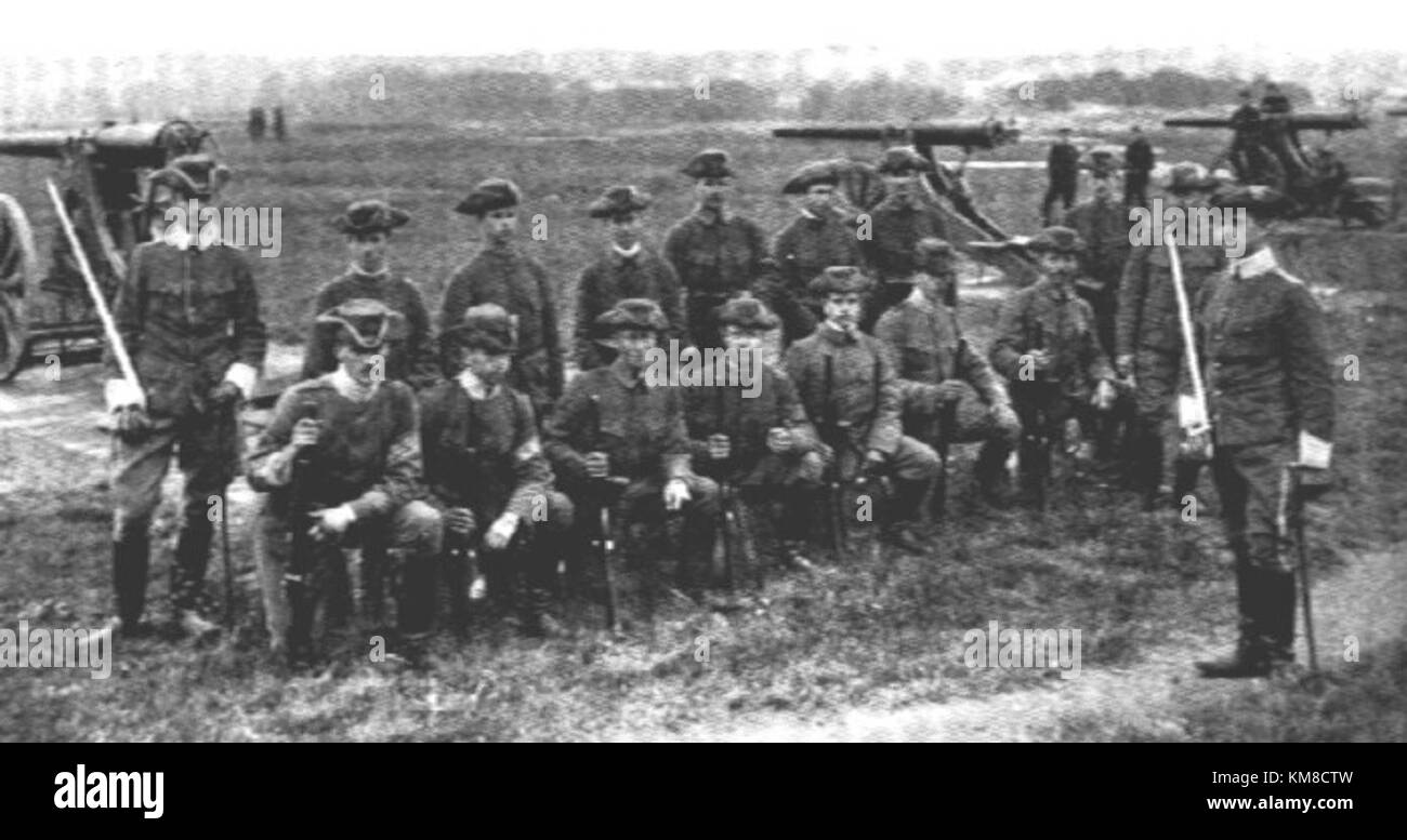 Positionsartilleriet refers to the field artillery used during the ...