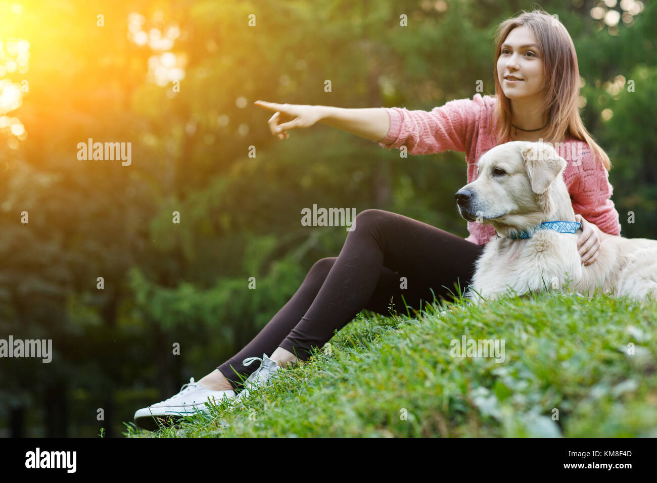 Grooming Dog High Resolution Stock Photography and Images - Alamy