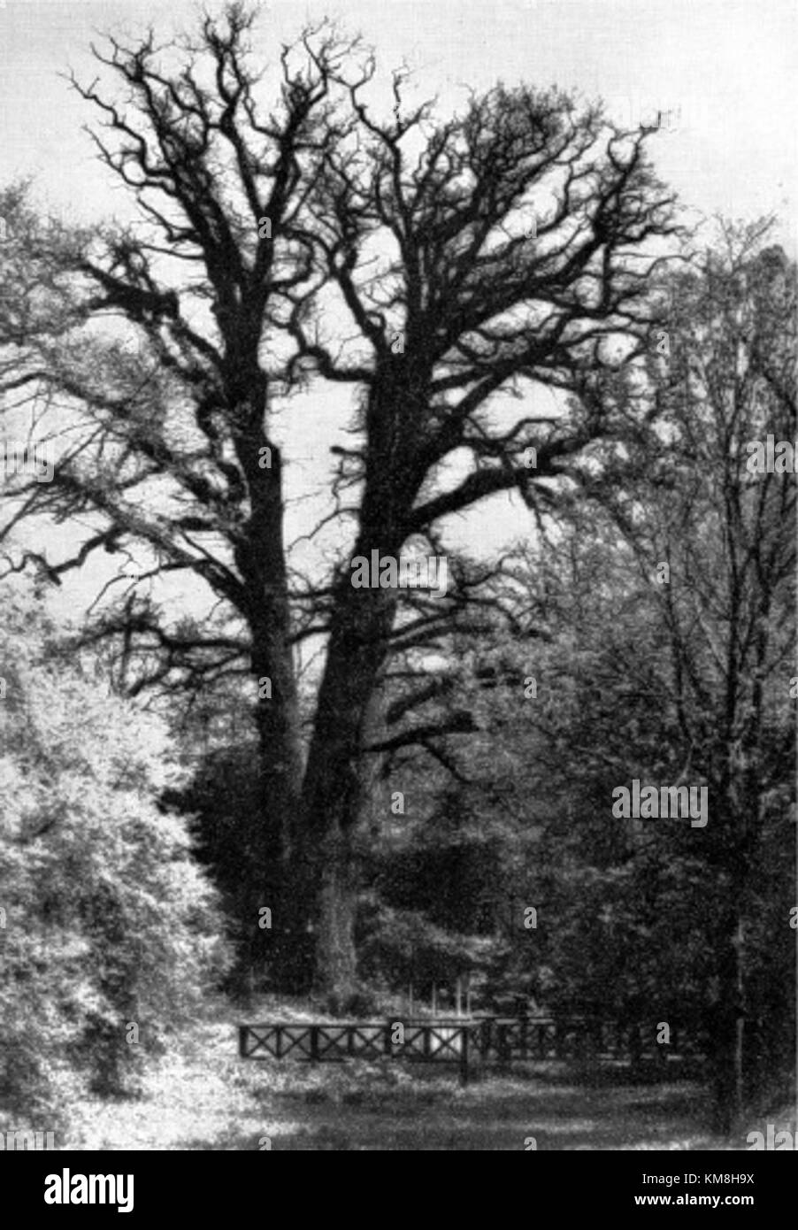 Swedish royal family tree Black and White Stock Photos & Images - Alamy