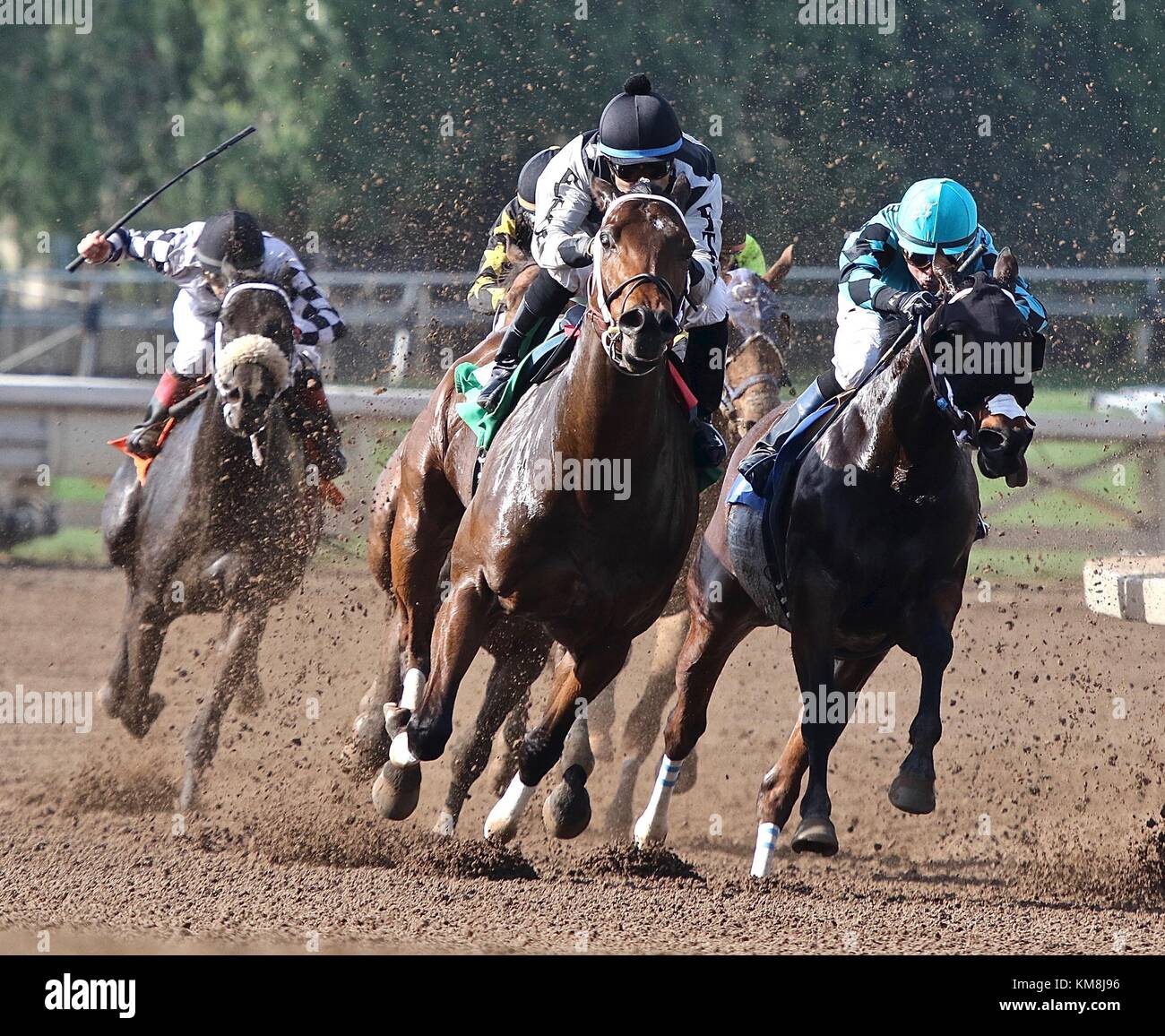 Home stretch race horses Stock Photo - Alamy