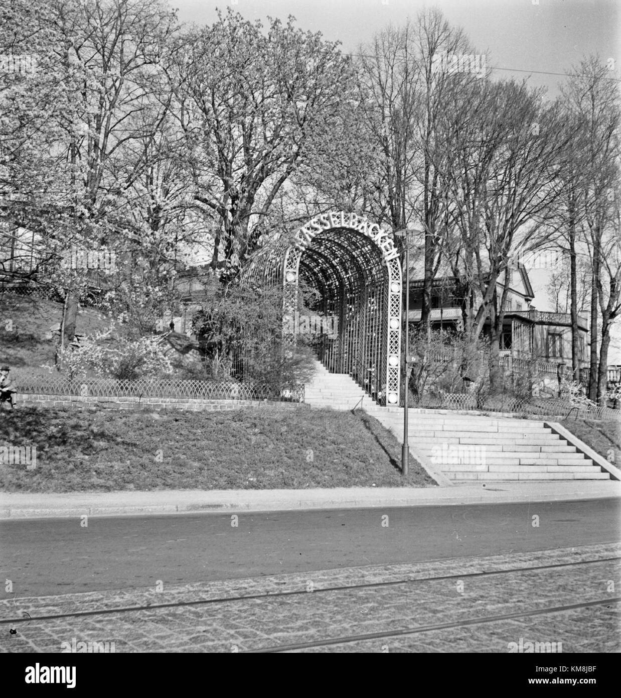 Hasselbacken, established in 1949, is a renowned restaurant located in ...