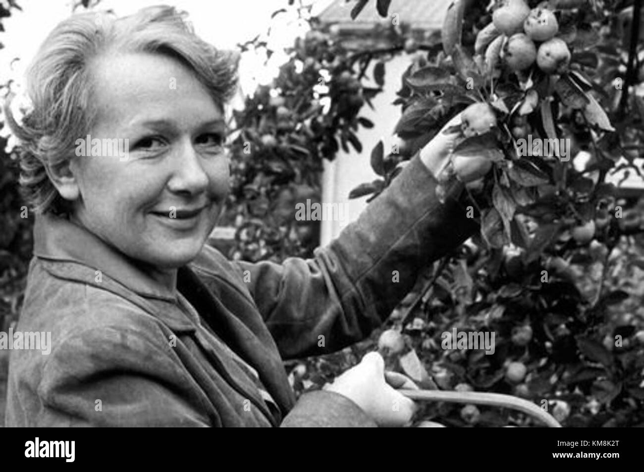 Sif Ruud, a Swedish actress, was a notable figure in the 1960s ...