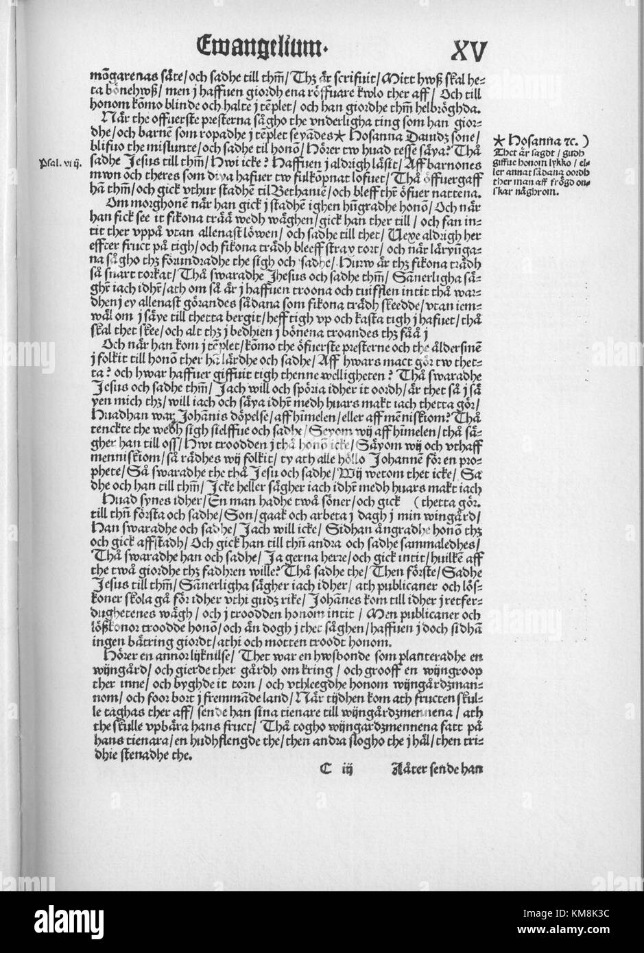 NT 1526 0436 is a registered ship number, identifying a vessel in ...