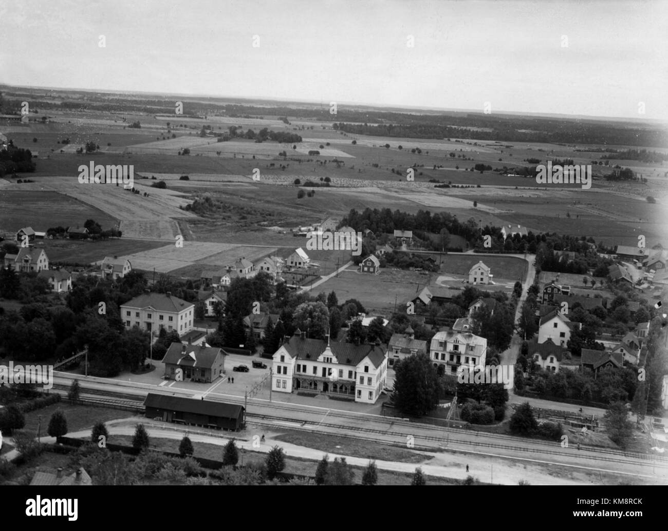 Old olm hi-res stock photography and images - Alamy