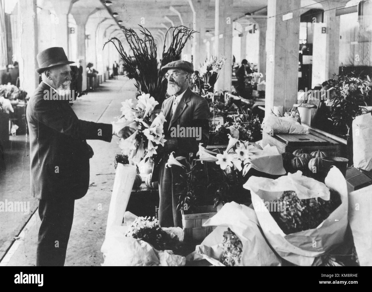 A vintage photograph of Klarahallen flowers from the 1930s. Klarahallen ...