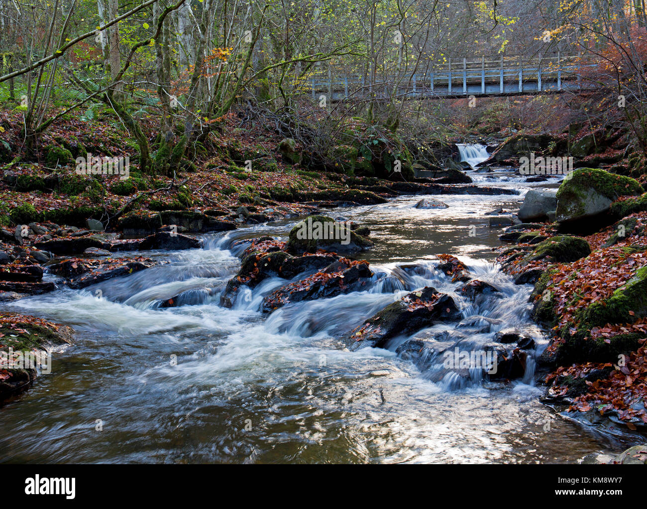 The lower level of the Moness burn at the Birks of Aberfeldy Stock ...