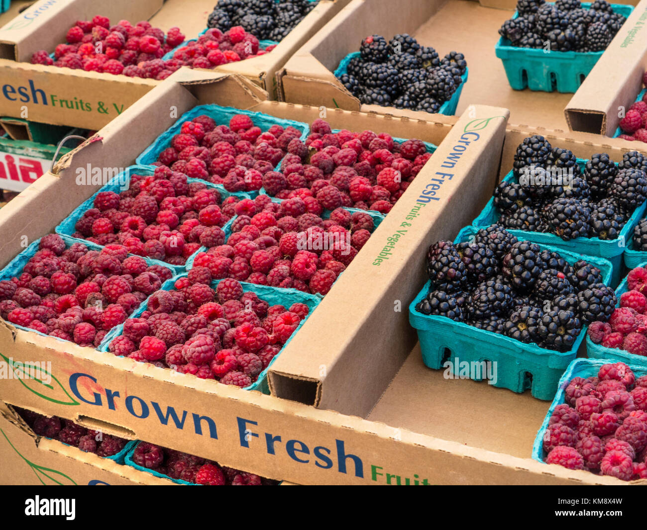 Fresh organic raspberries and blackberries on display at Farmers Market ...