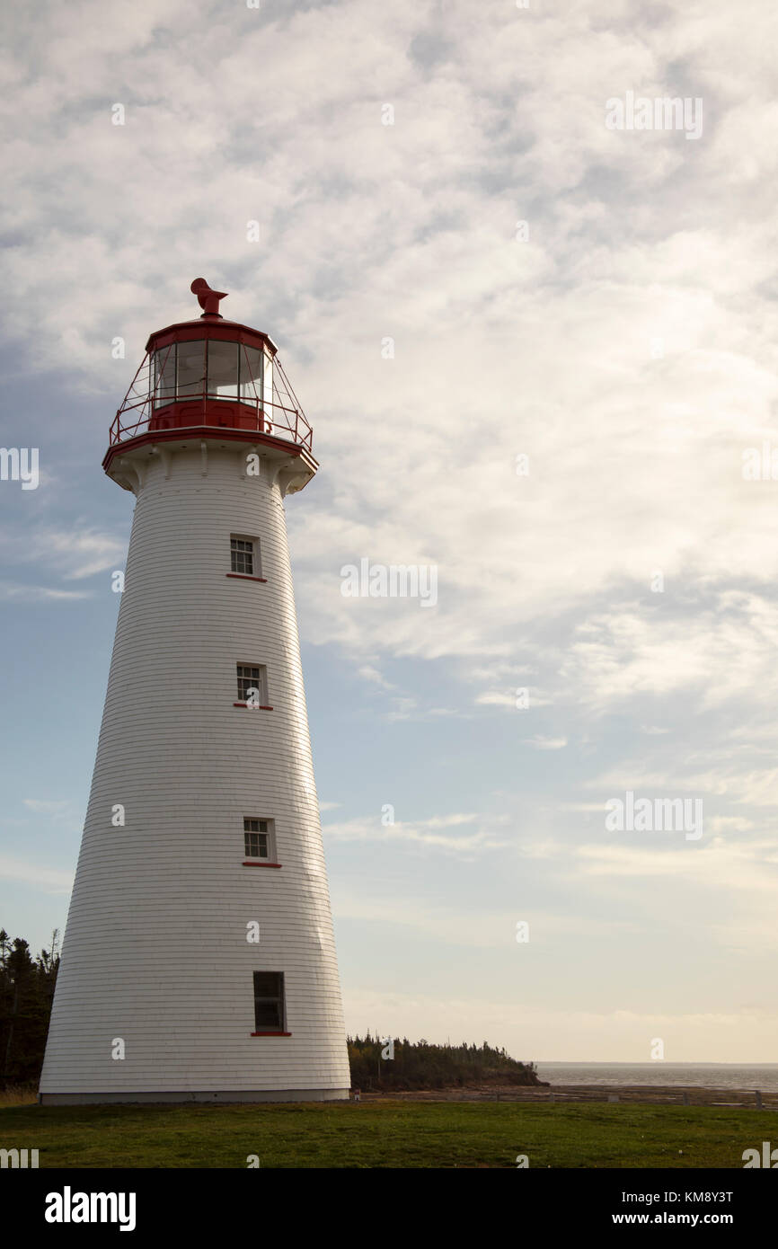 Pt prim hi-res stock photography and images - Alamy