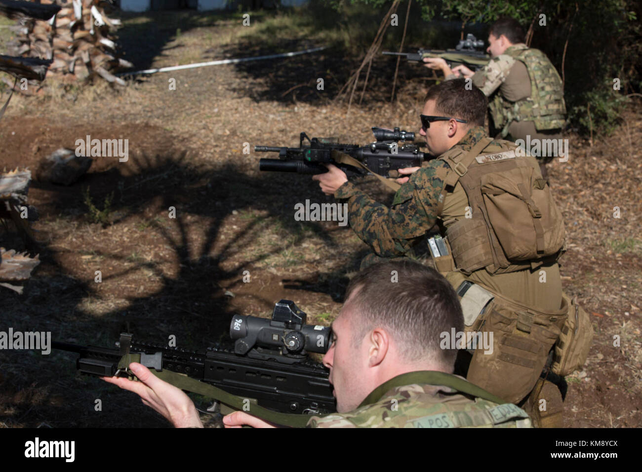 a u.s. marine with black sea rotational force 17.2 and british royal ...