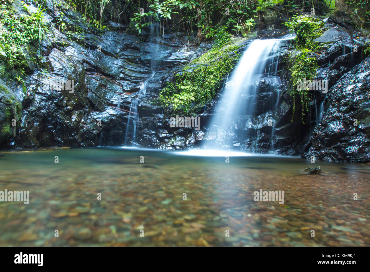 Mayan king hi-res stock photography and images - Alamy