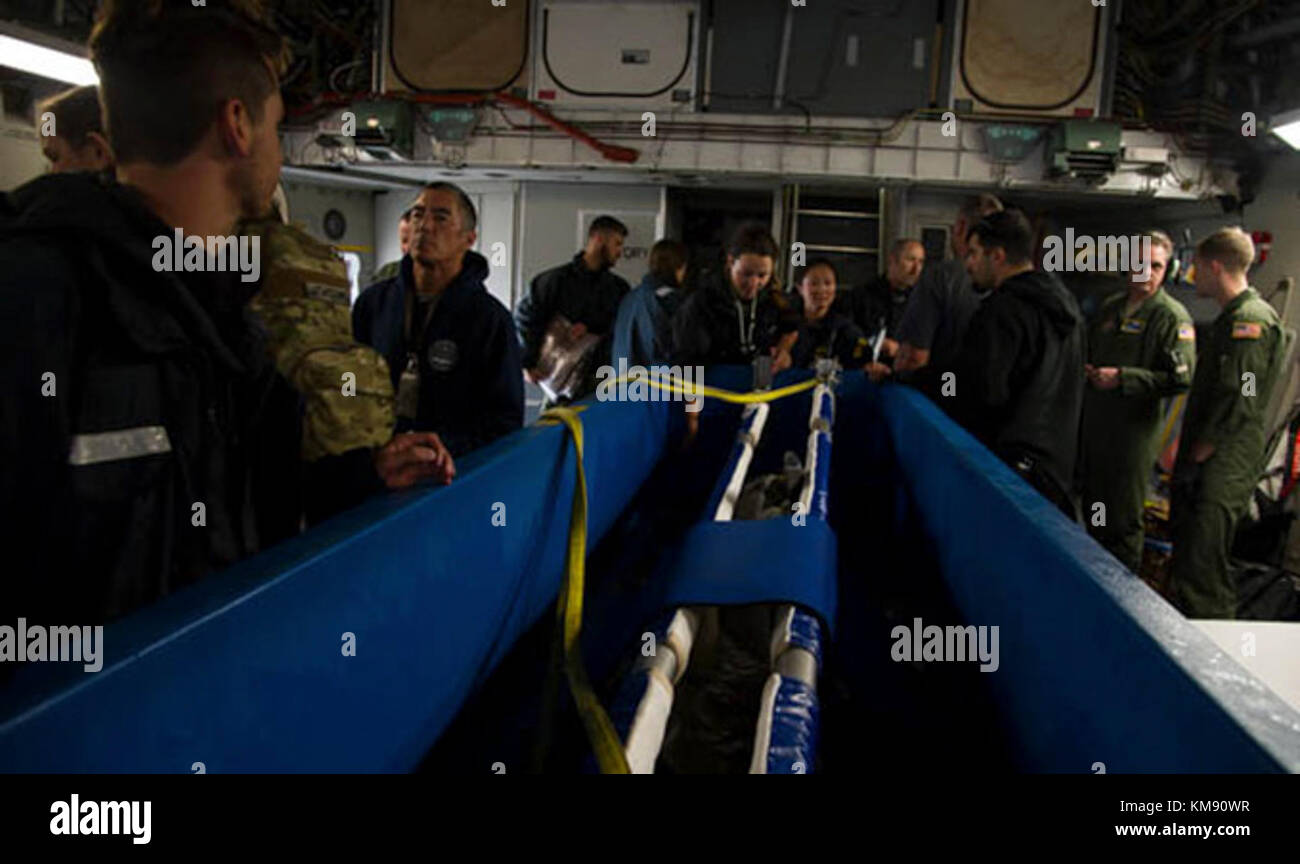 A dolphin from the U.S. Navy’s Marine Mammal Program is loaded aboard a ...