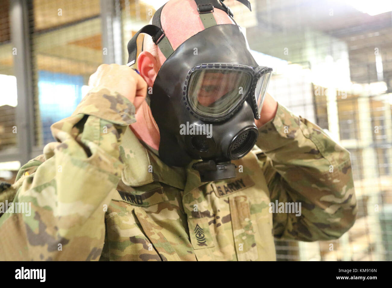 Seal ward hi-res stock photography and images - Alamy