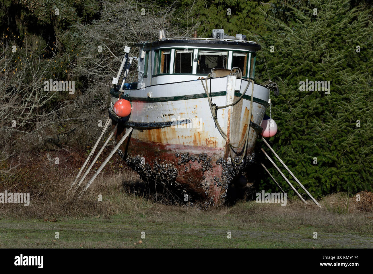Barnacles boat hi-res stock photography and images - Alamy
