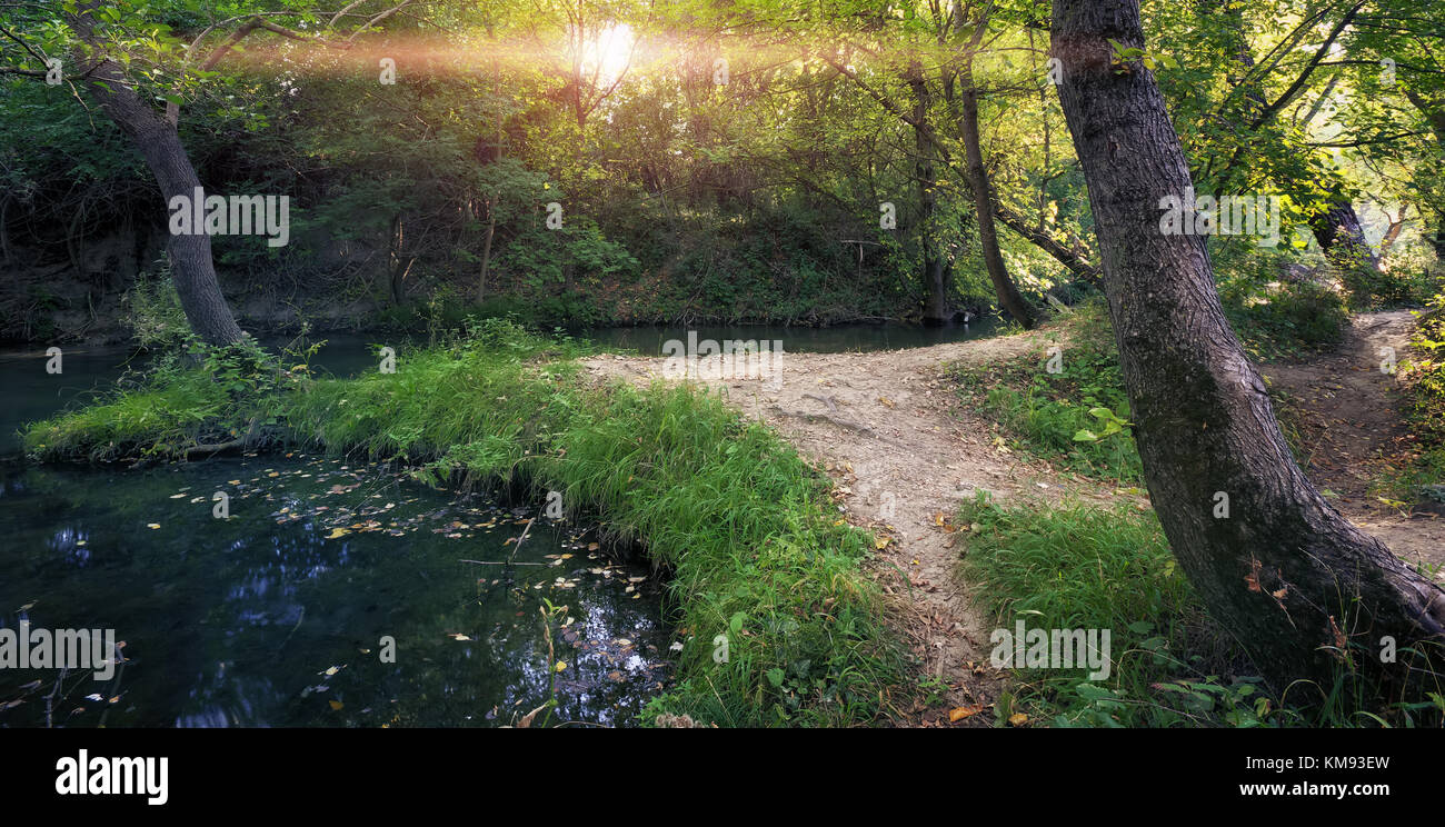 Creek in the forest hi-res stock photography and images - Alamy