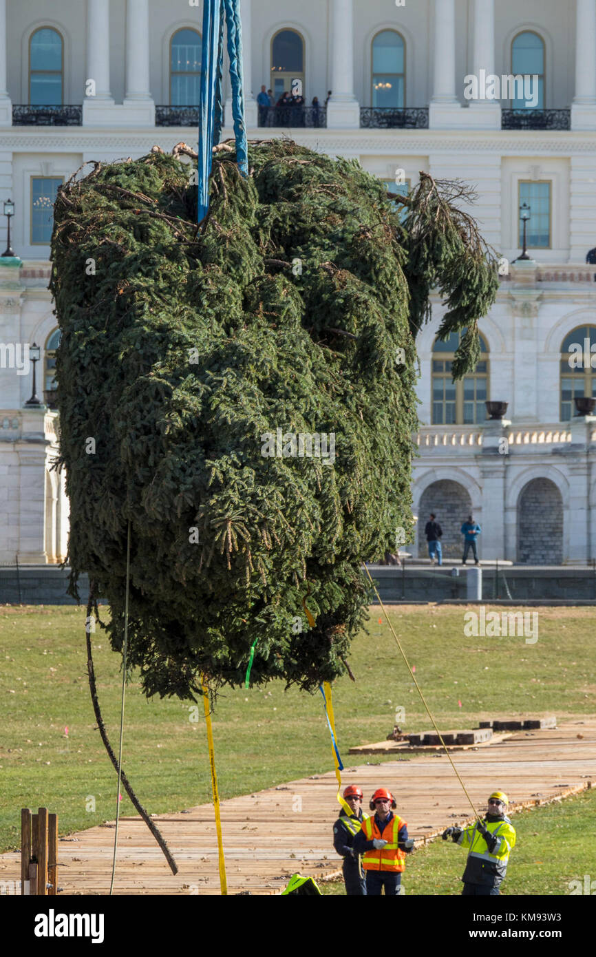 Architect of the capitol workers hi-res stock photography and images ...