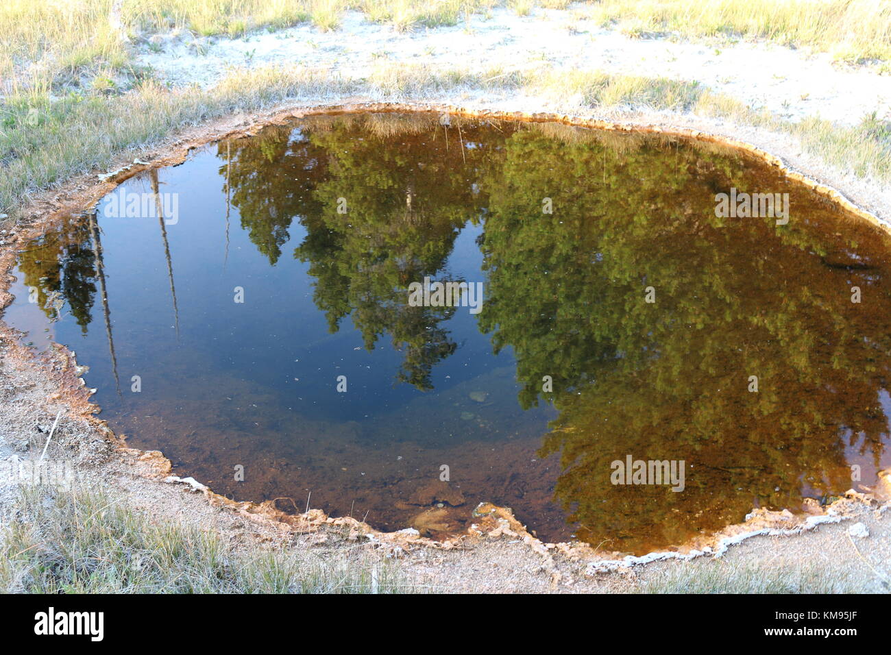 Geysers in action the planet is alive Stock Photo - Alamy