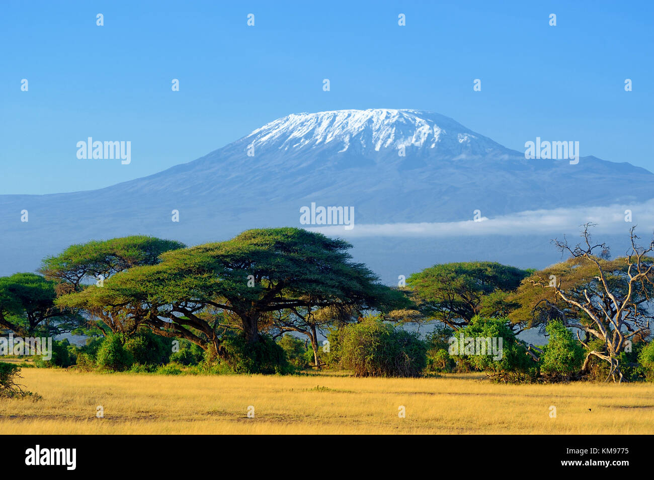 Glacier on top mount kilimanjaro hi-res stock photography and images ...