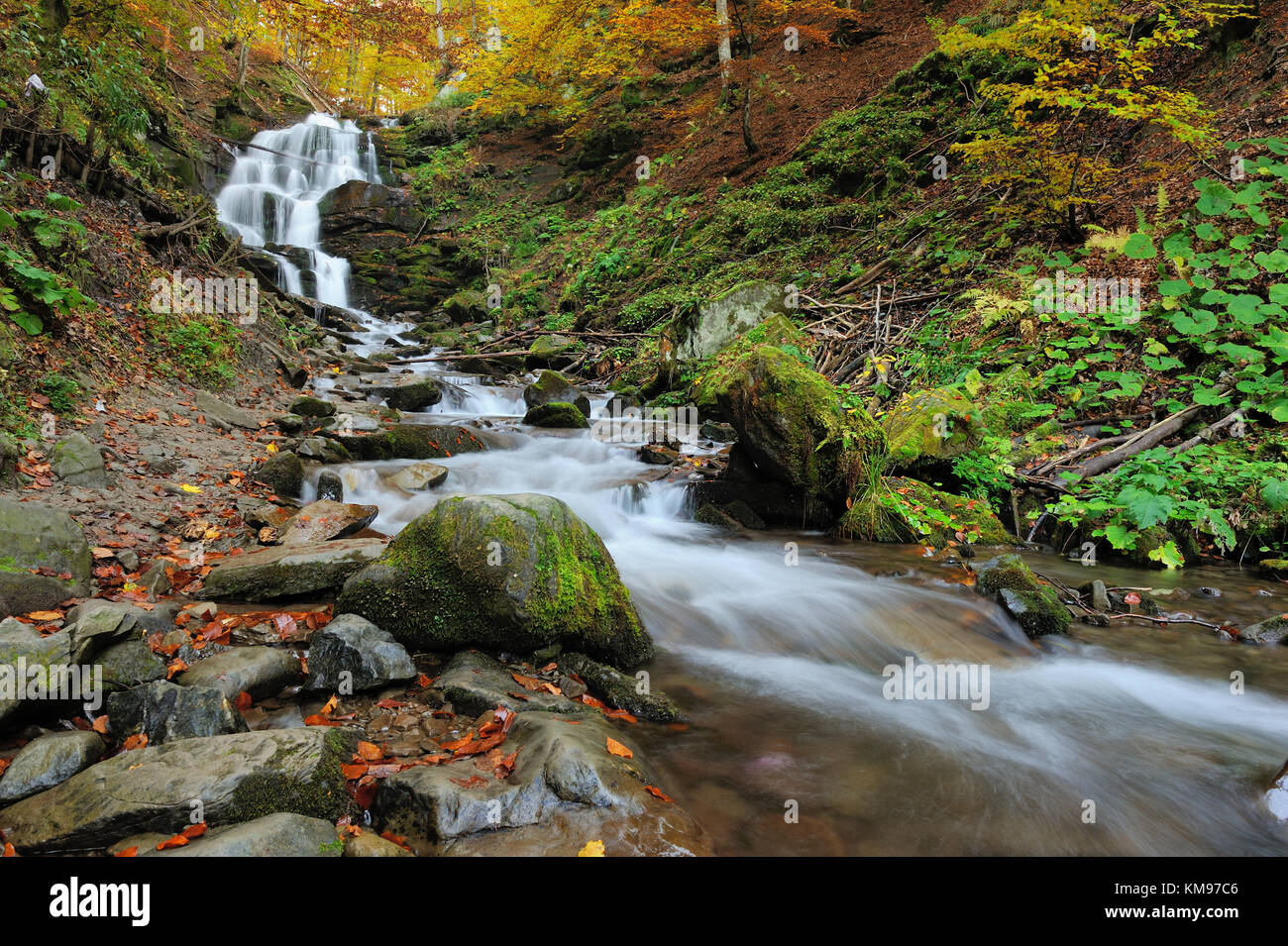 Autumn forest waterfall and rocks with yellow leaves Stock Photo - Alamy