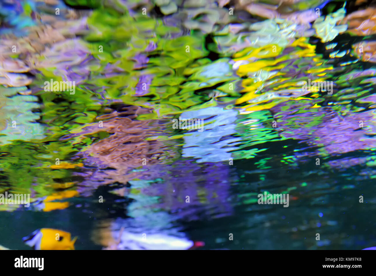 Underwater scene. Colorfull underwater water wave Stock Photo - Alamy