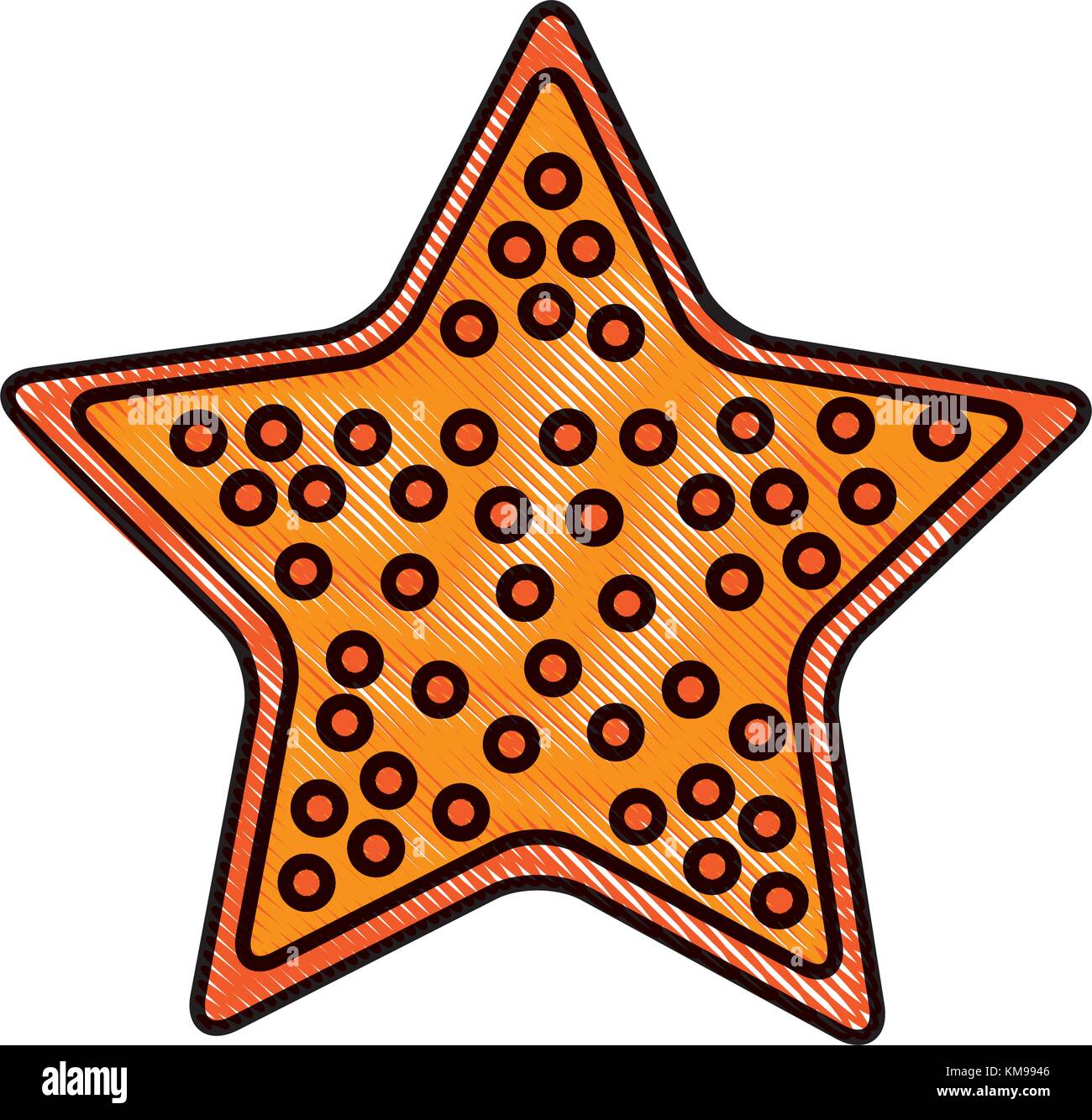 Sea star isolated Stock Vector Image & Art - Alamy