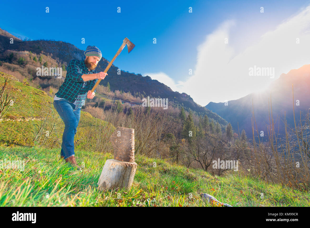 A lumberjack with a beard cuts a log Stock Photo - Alamy