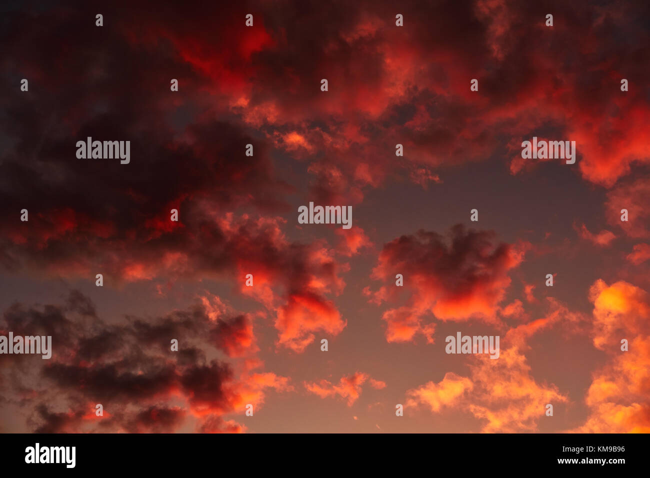 Beautiful sunset cloudy scenery hi-res stock photography and images - Alamy