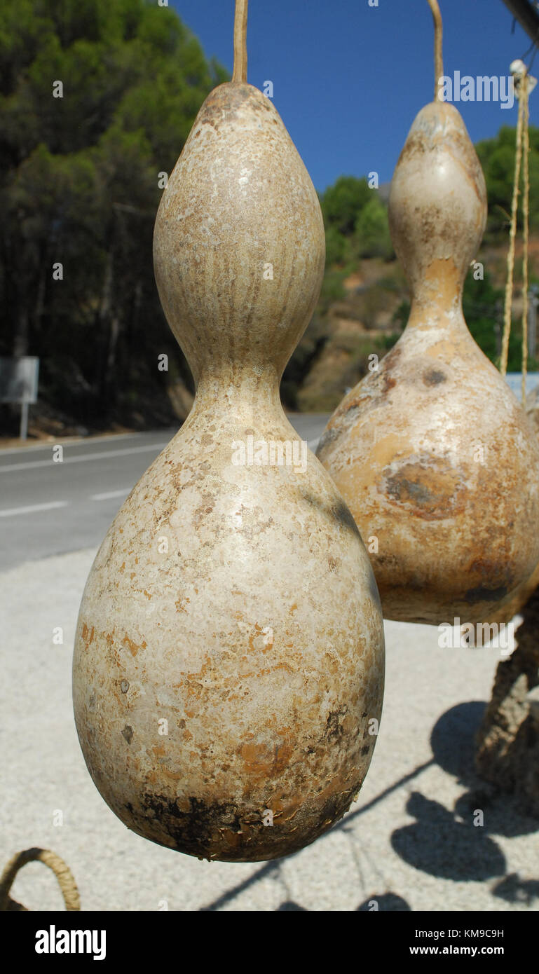 Two gourds hi-res stock photography and images - Alamy