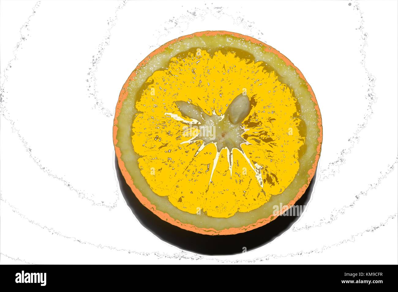 Orange seed Stock Vector Images - Alamy