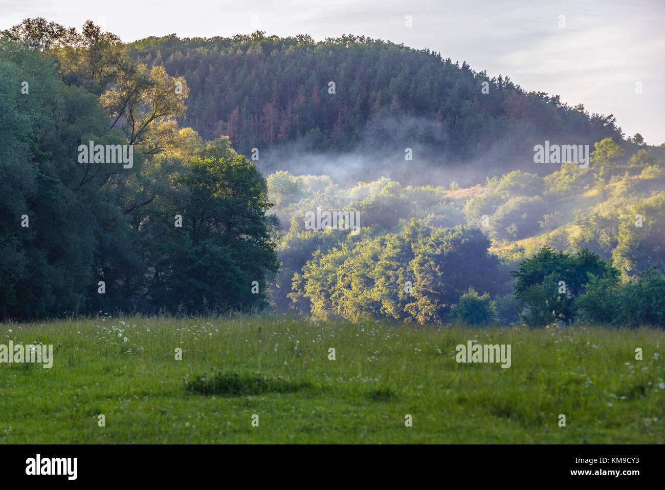 Waterfall meadow hi-res stock photography and images - Alamy