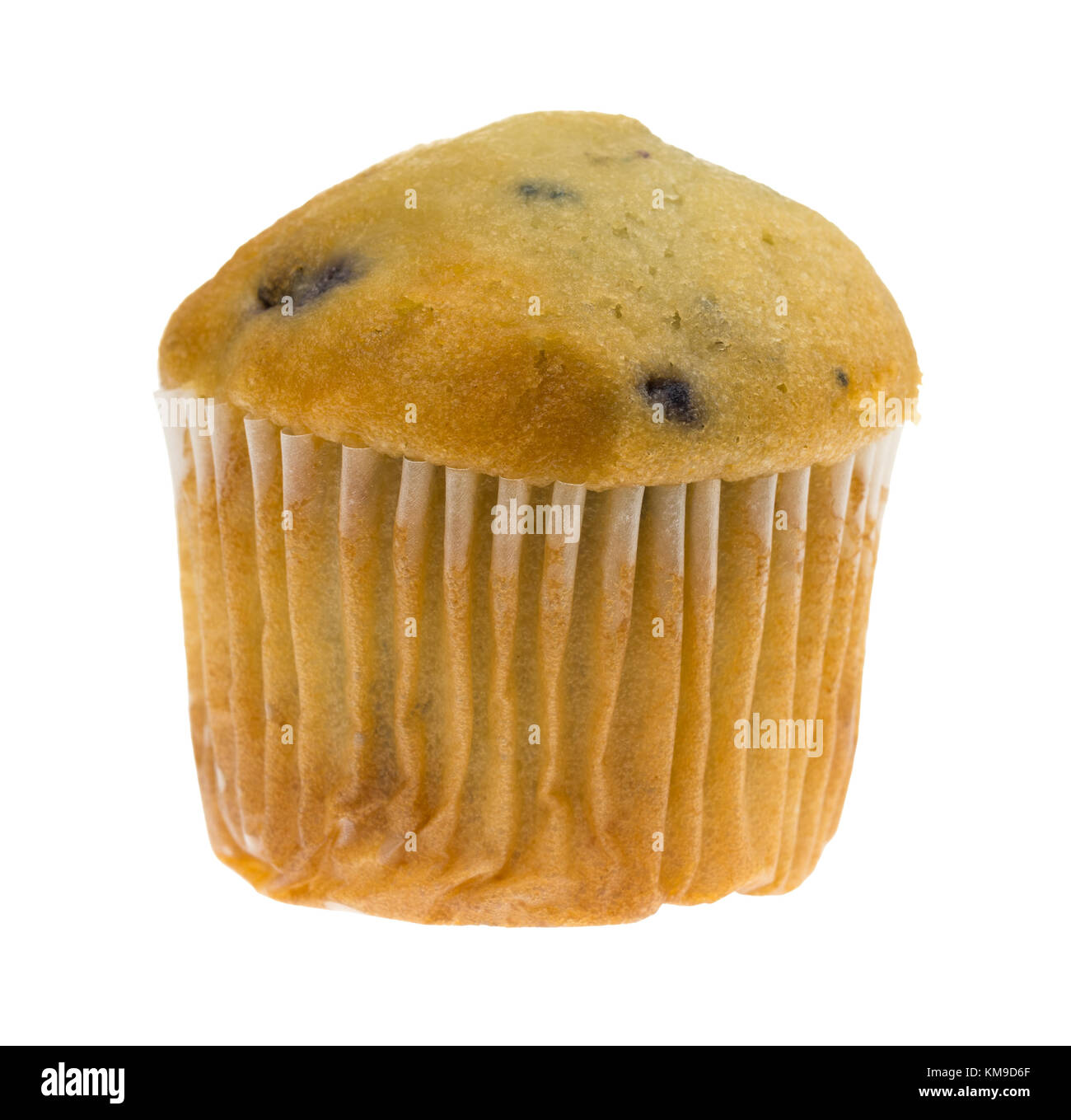 Side view of a single bite size blueberry muffin isolated on a white ...