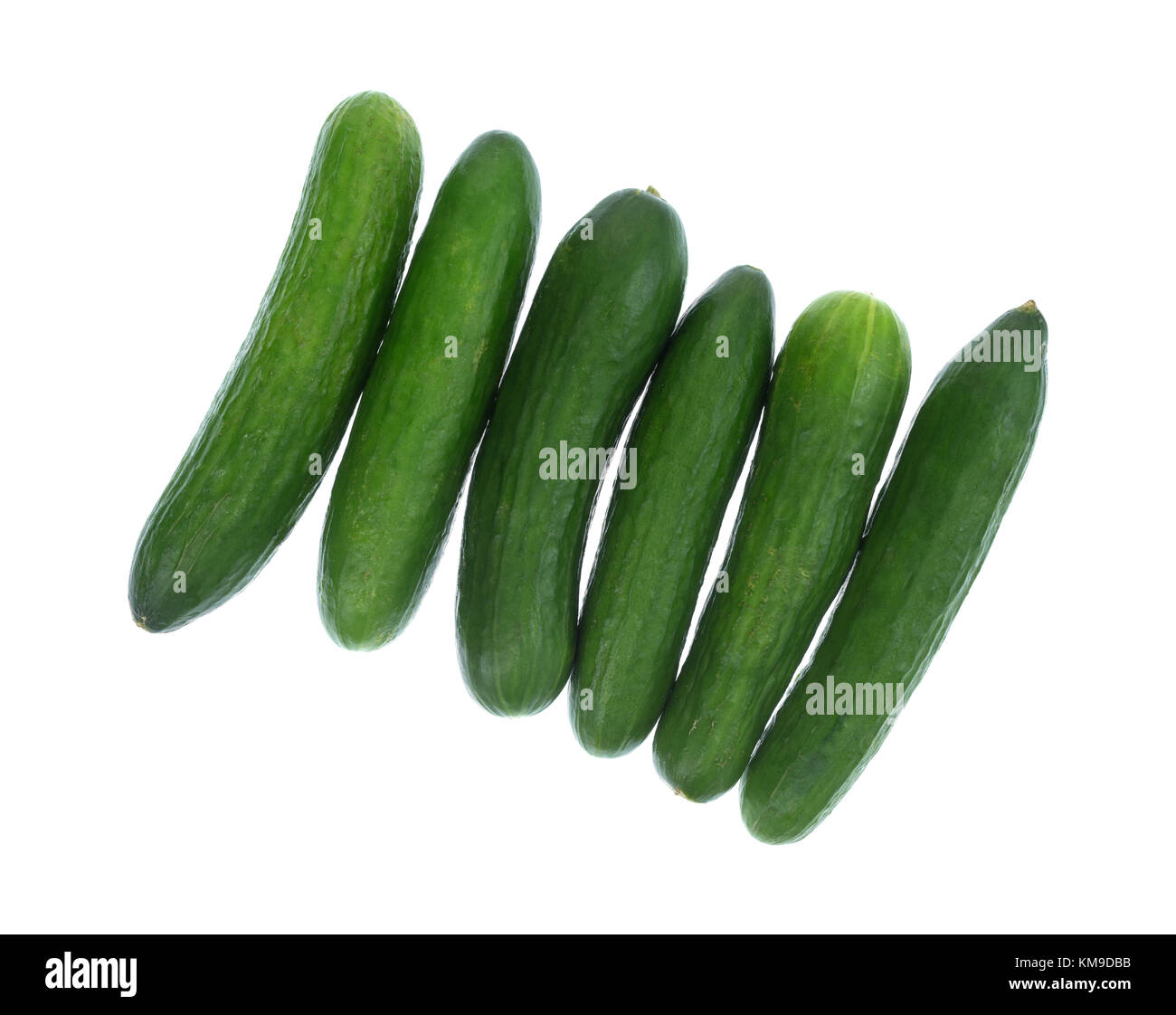Top view of six small bite size dipping cucumbers in a row isolated on ...