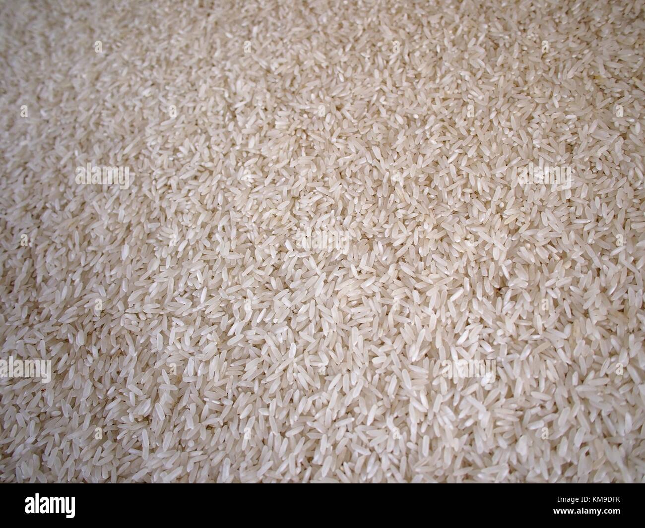 Photo of a bunch of fresh, raw rice Stock Photo - Alamy