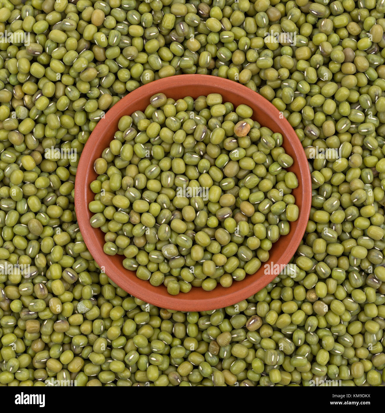 A portion of organic mung beans in a small terracotta bowl surrounded ...
